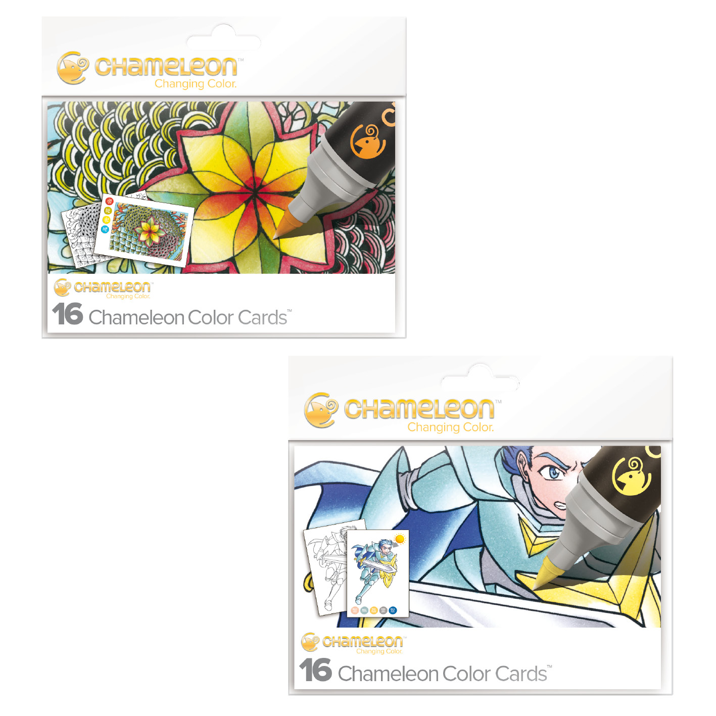 Chameleon Colour Cards - S&S Wholesale