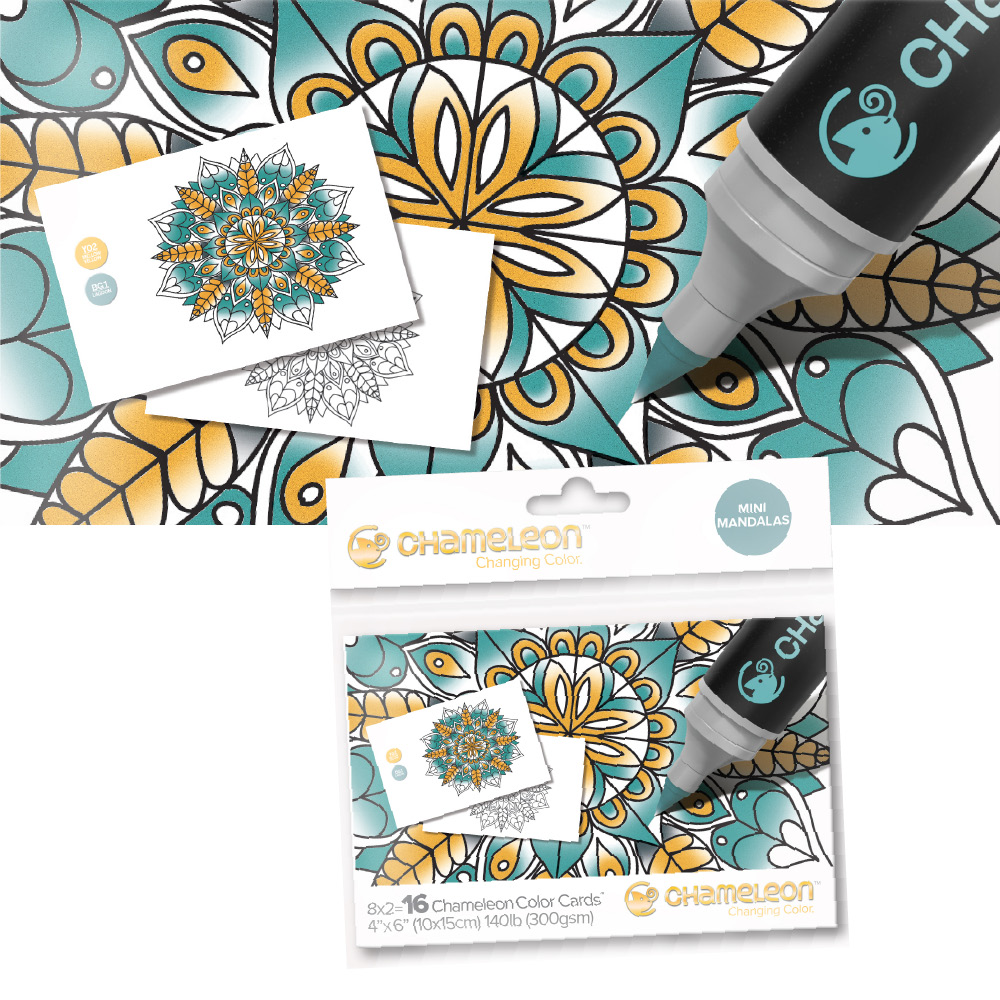 Chameleon Colour Cards - S&S Wholesale