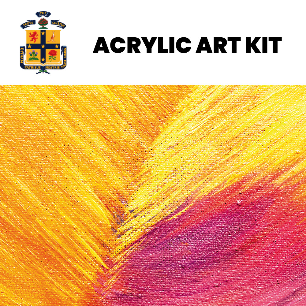 Acrylic Art Kit - S&S Wholesale